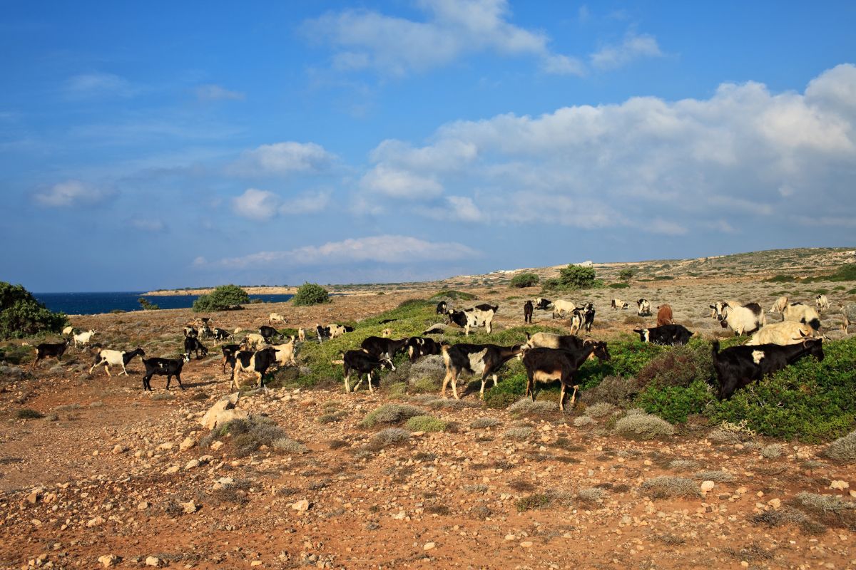 Karpathos Greece: Your Ultimate Travel Destination