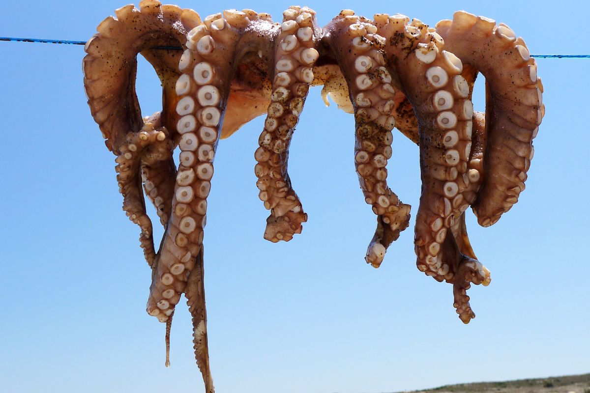 Milos: The Beach Queen of the Cyclades by Greece Insiders