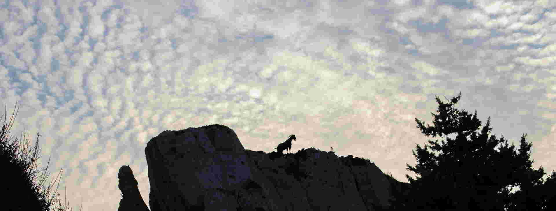 Icaria: The Greek Blue Zone Island | Greece Insiders