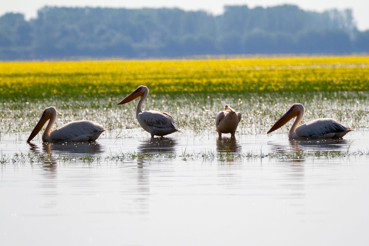 Unique Places to Visit in Greece: Uncover Hidden Gems