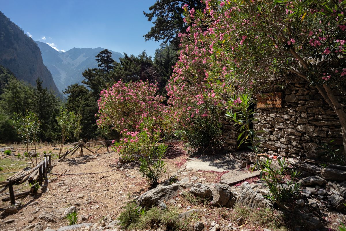 Weather in Greece in May: Everything You Need to Know