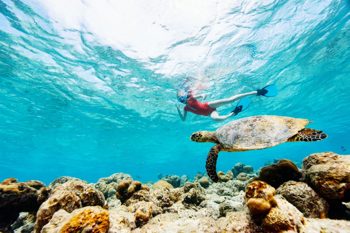 Snorkeling in Greece: Essential Guide